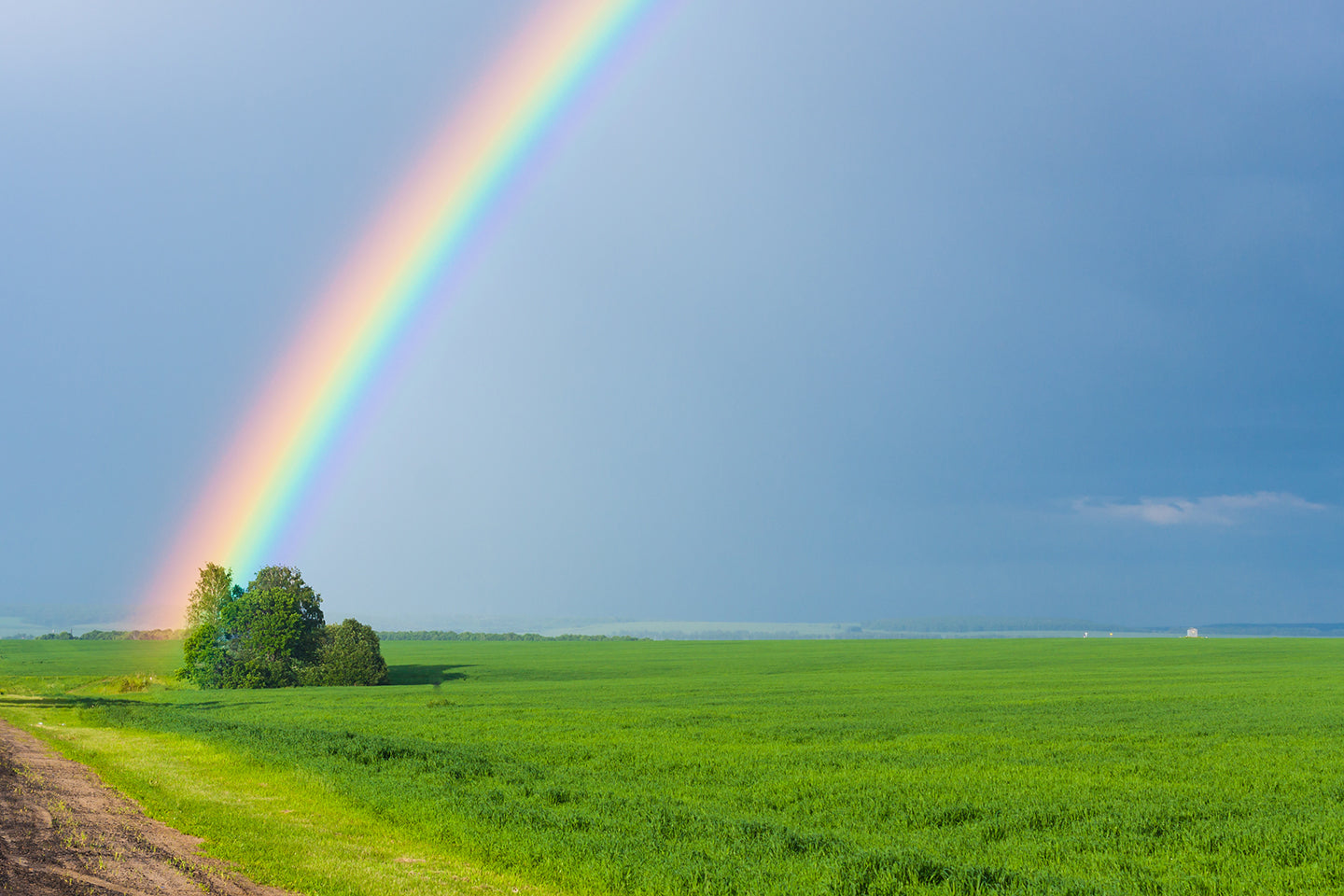 Rainbow | Vibrant Hospitality Essentials | Erwyn Products